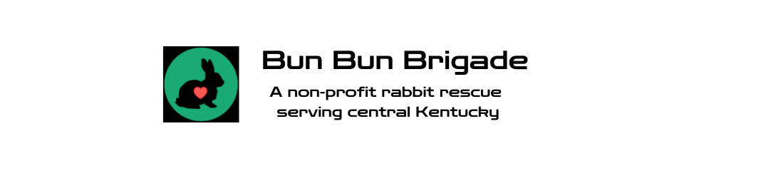 Bun Bun Brigade - mobile_header3