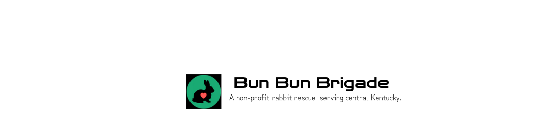 Bun Bun Brigade - mobile_header5